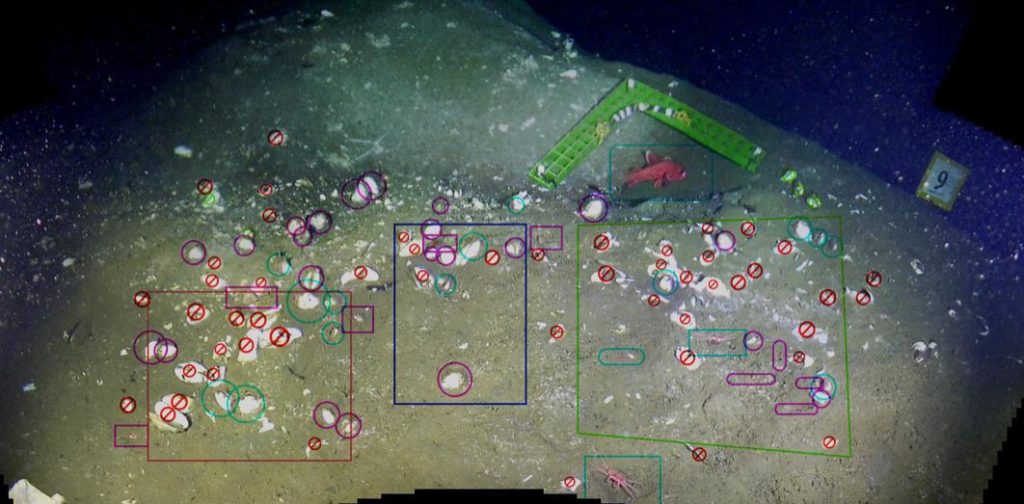 Wally Crawler Series - iSeaMC