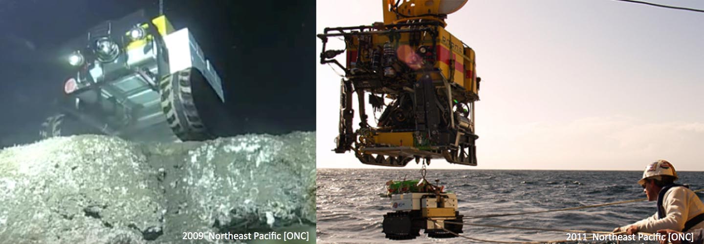 Wally Crawler Series - iSeaMC